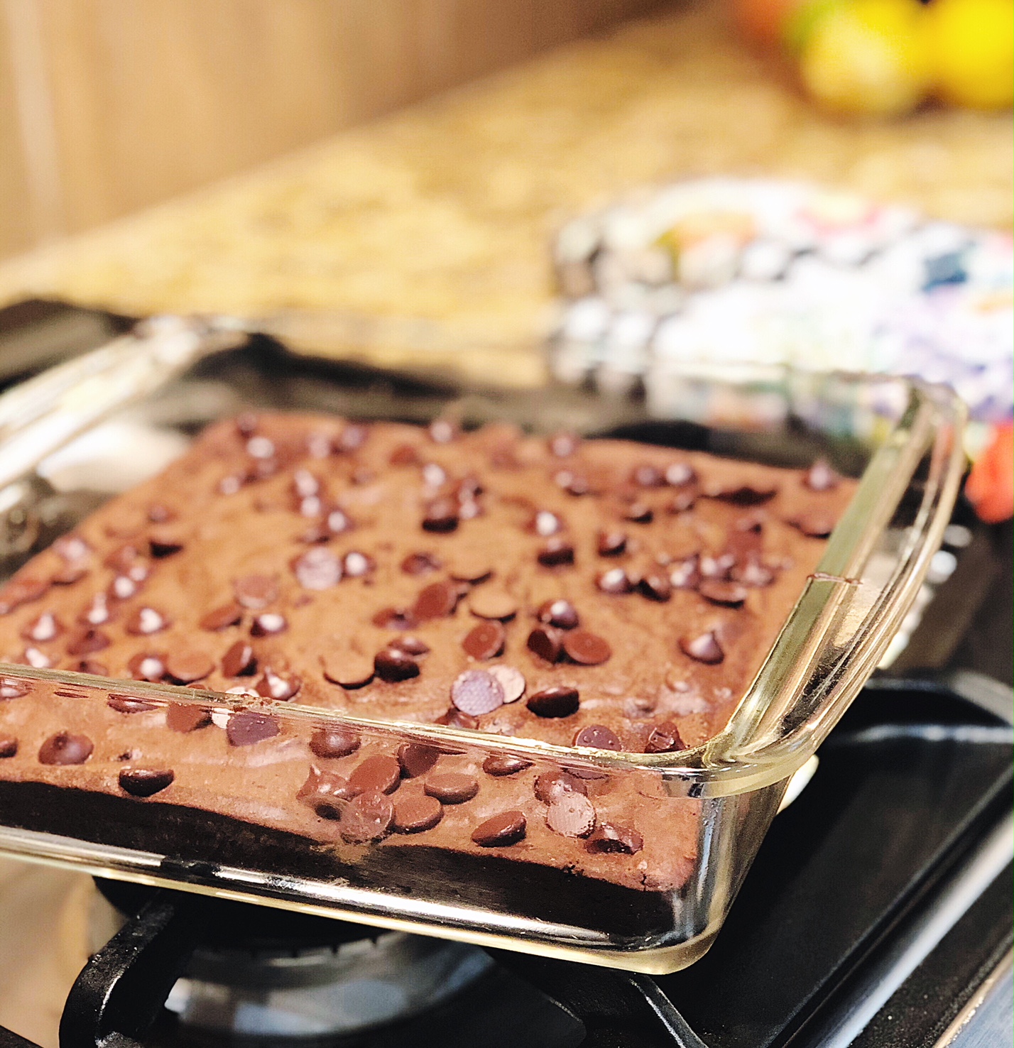 Tried and Tested: True Roots Cookbook By Kristin Cavallari